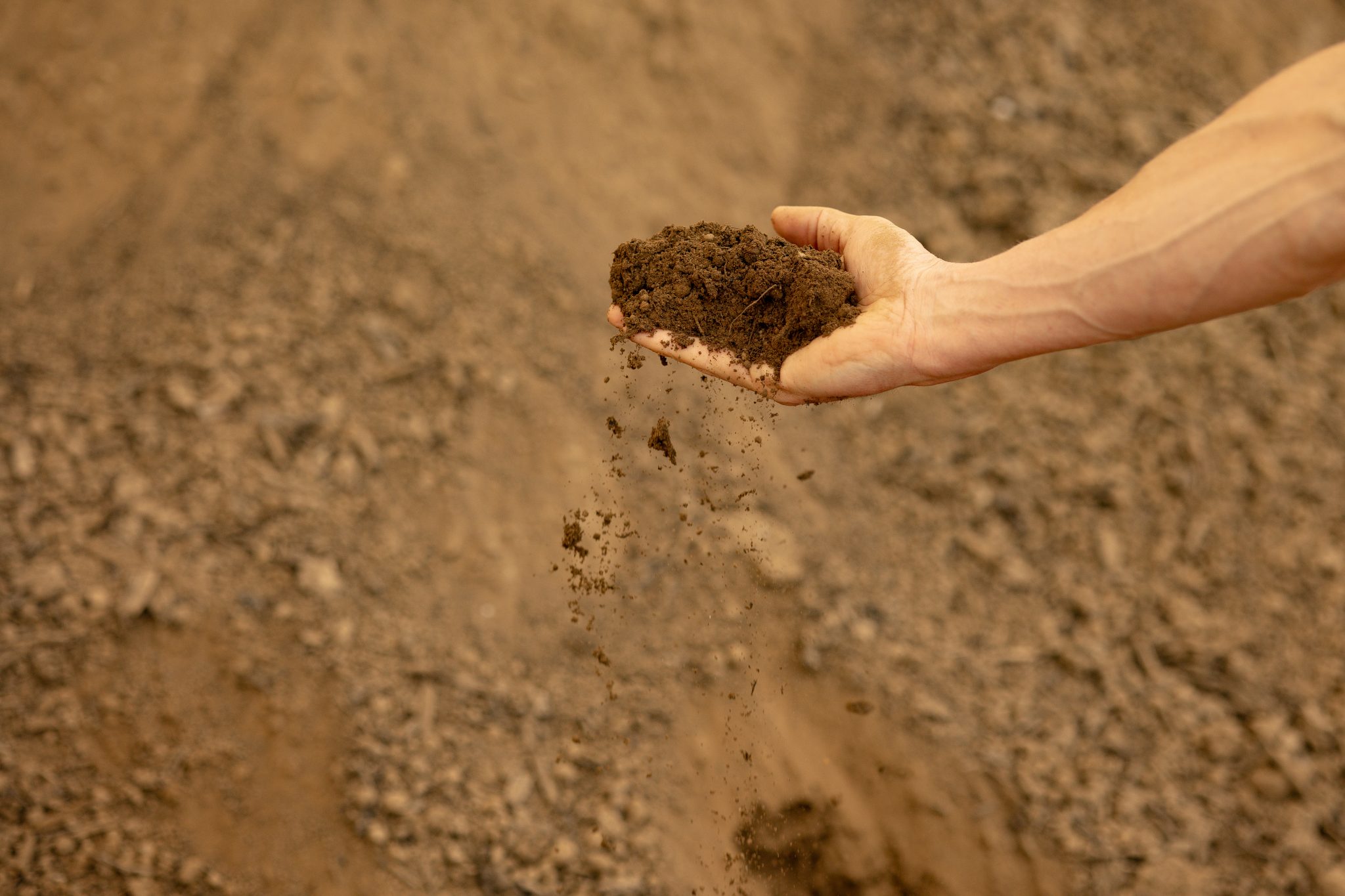 What Is Topsoil? Why It Matters for St. Louis Lawns and Yards – St ...